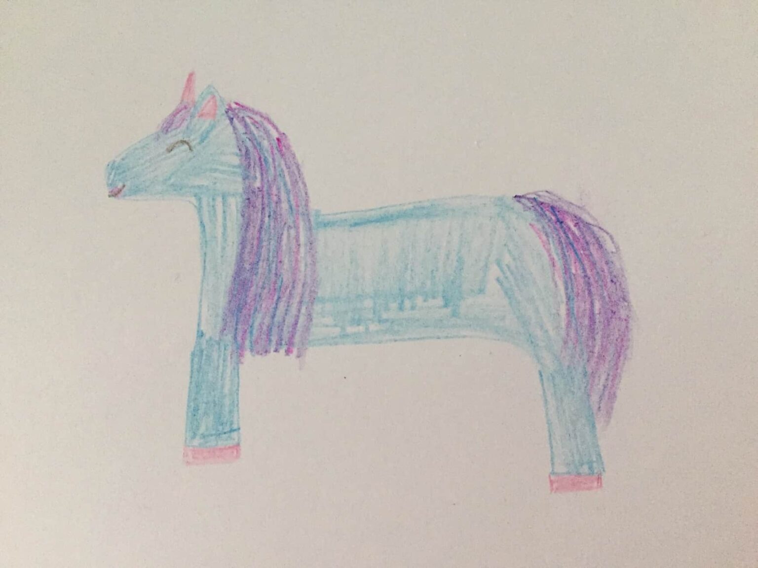 My Dream Horse with Petplan Equine - We Made This Life