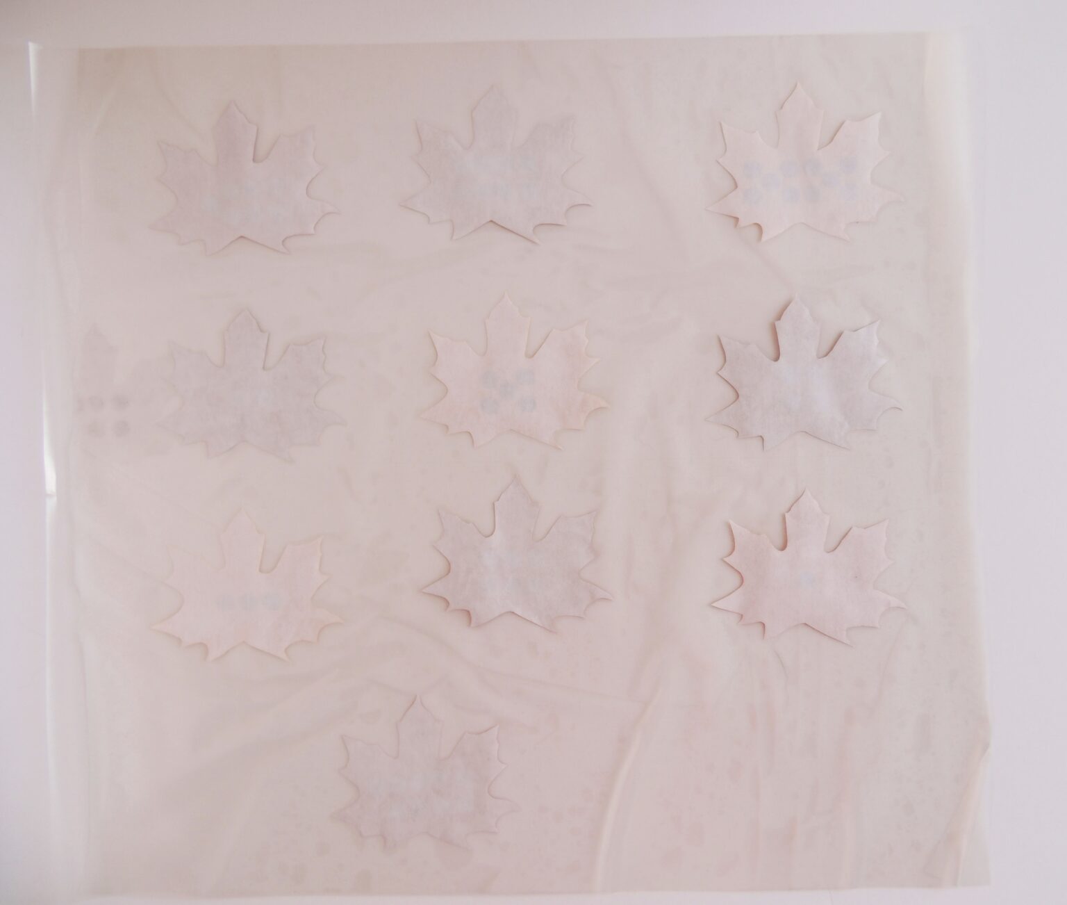 Matching Numbers Activity For PreSchoolers (Autumn Leaves)