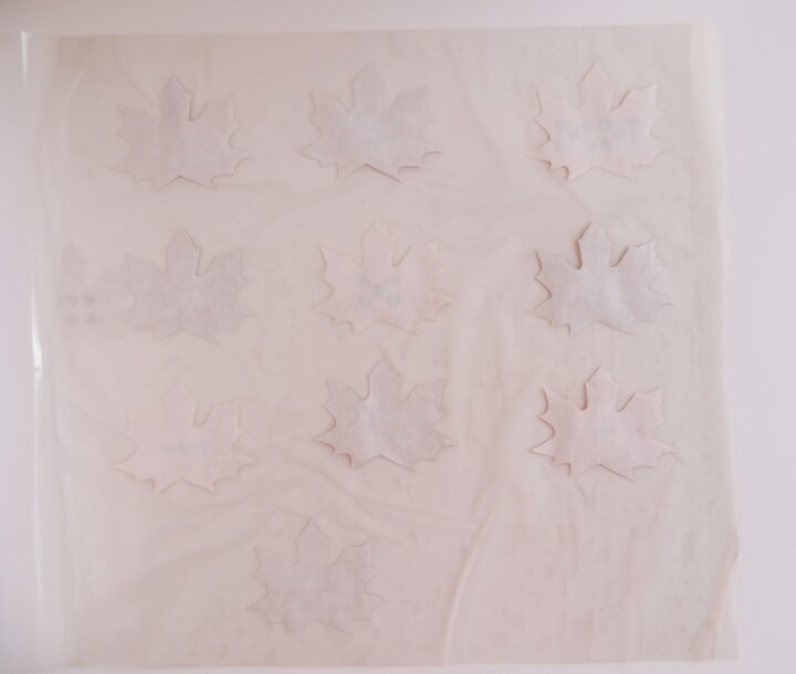 Matching Numbers Activity For PreSchoolers (Autumn Leaves)