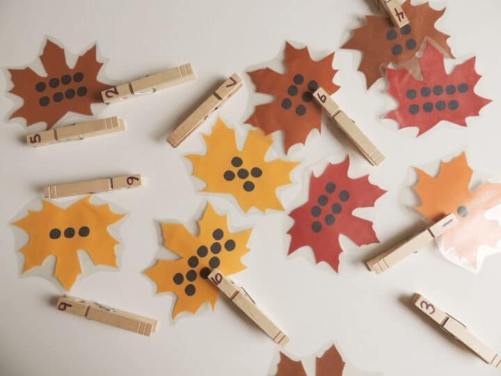 Matching Numbers Activity For PreSchoolers (Autumn Leaves)